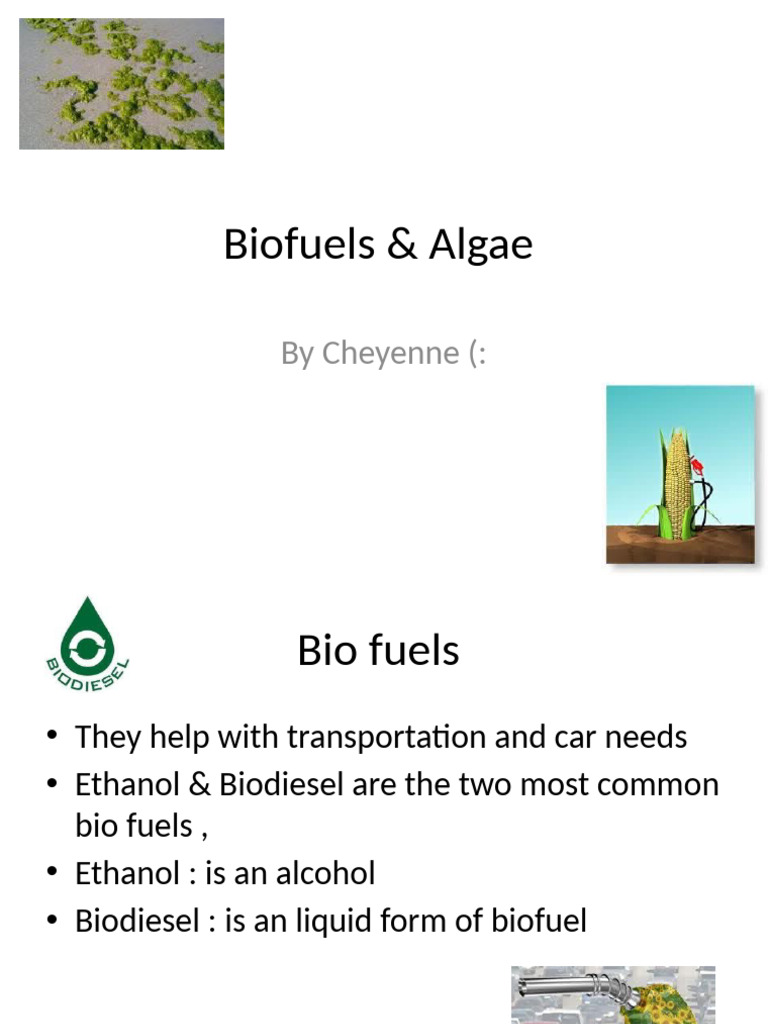 Biofuels & Algae Cheyennee | PDF