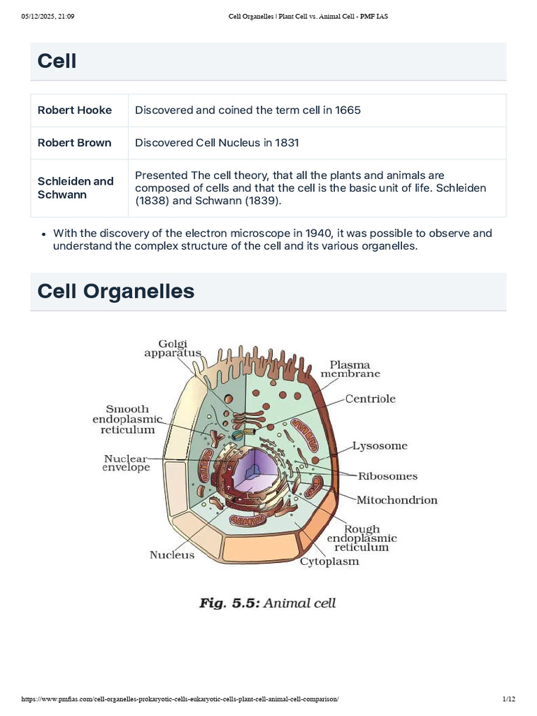 Cell Organelles - Plant Cell vs. Animal Cell - PMF IAS | PDF ...