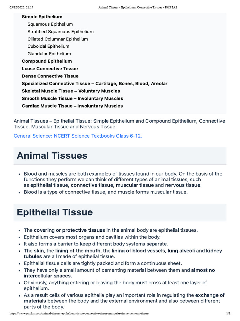 Overview of Animal Tissues Types | PDF | Epithelium | Muscle