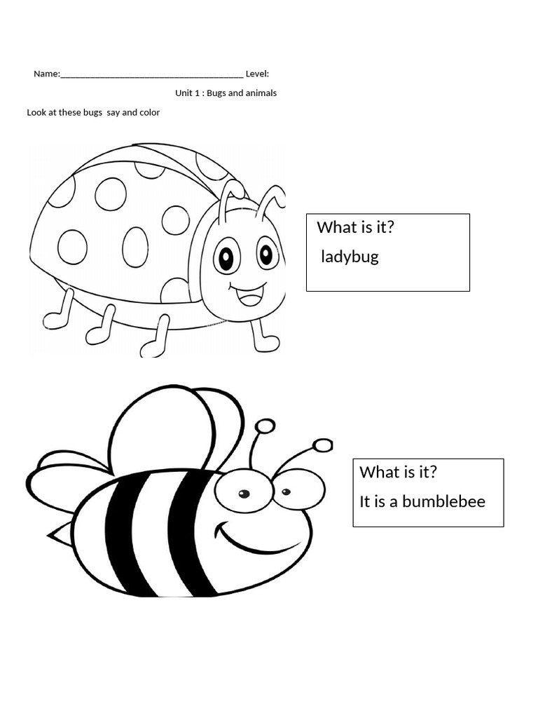 Worksheet Bugs and Insects 3 de Abril | PDF