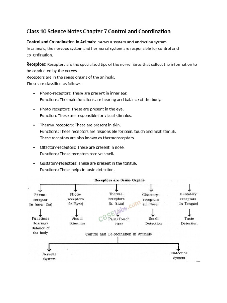 Class 10 Science Notes Chapter 7 Control and Coordination | PDF ...