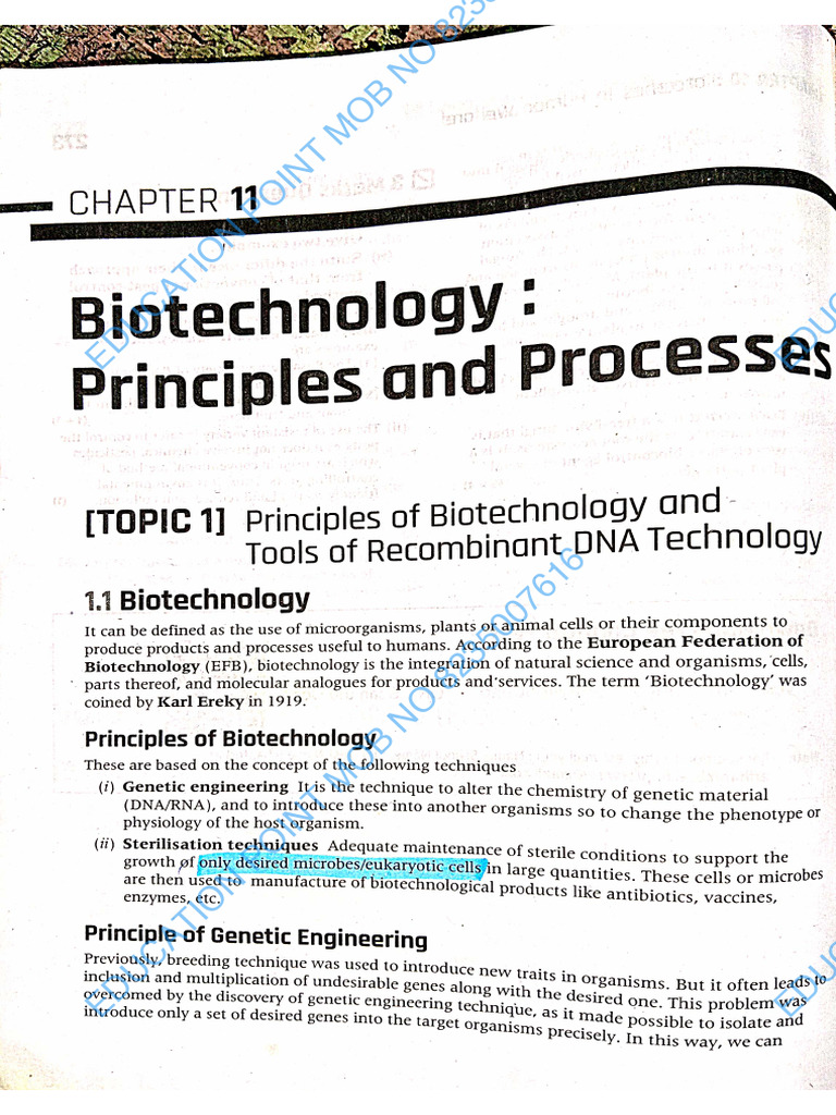 Biotechnology - Principal and Process | PDF