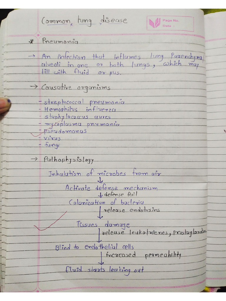 Common Lung Disease Copd | PDF