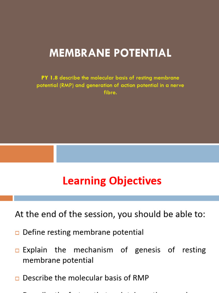 Understanding Resting Membrane Potential | PDF | Membrane Potential | Ion