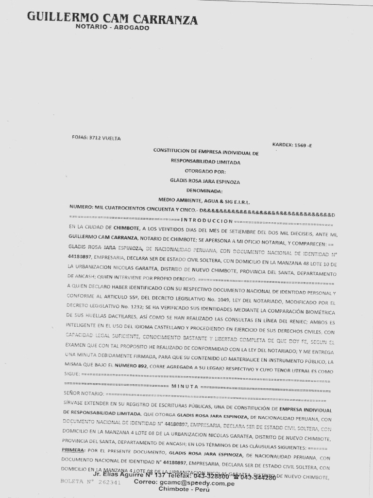 MINUTA_MASIG_MEJORADA | PDF