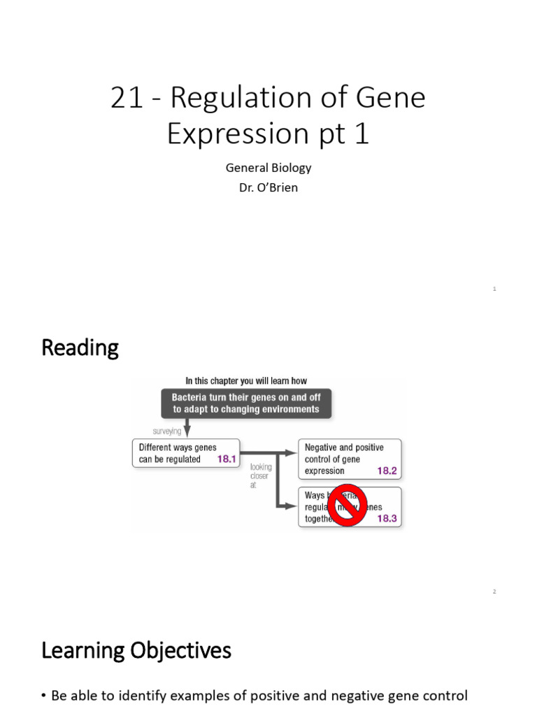 Gene Expression Regulation Overview | PDF | Regulation Of Gene ...