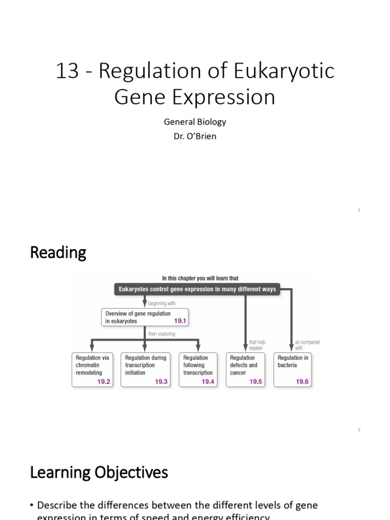 Eukaryotic Gene Expression Regulation | PDF | Messenger Rna | Promoter ...