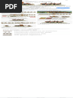 Advika 2025-2026 FBISD Calendar | PDF | Academic Term | Military Operations