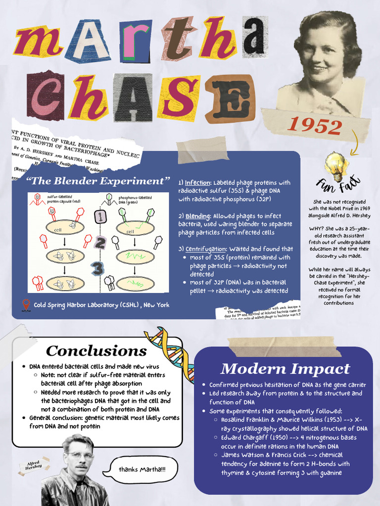 Biography Genre Poster in Blue Bold Illustrative Style - PDF 2 | PDF ...