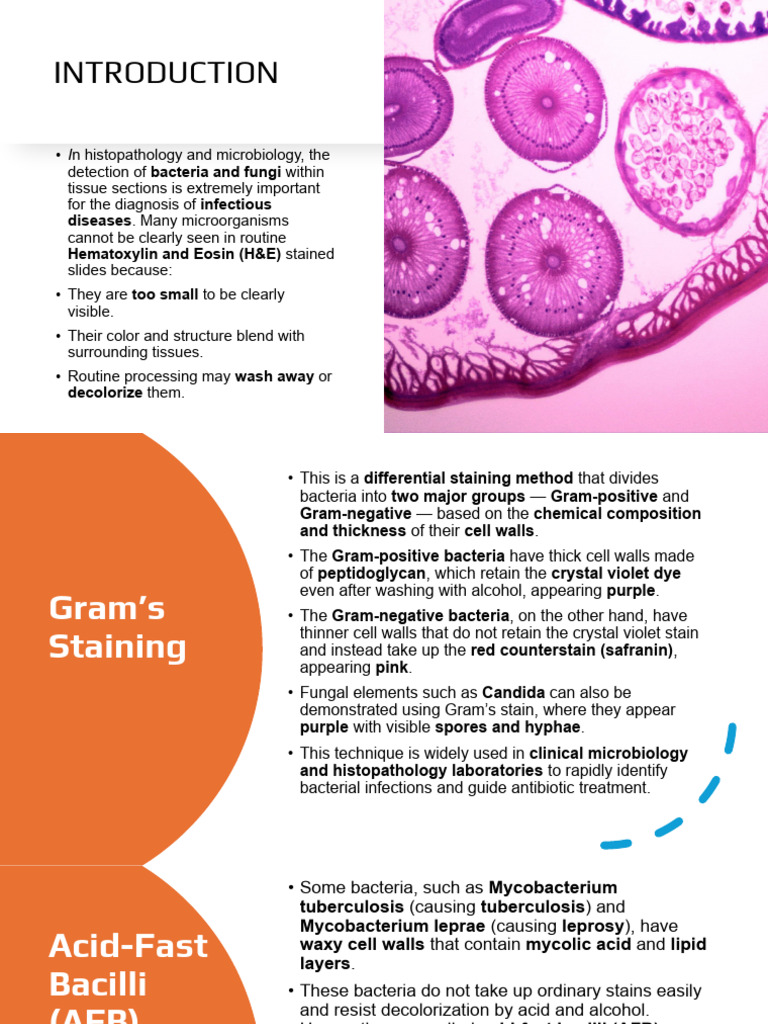 Gram's and Afb Staining in Histopathology 2025 | PDF | Staining ...