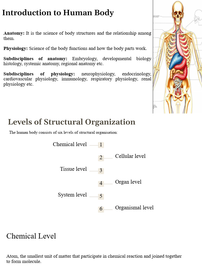 Introduction of Human Body | PDF | Human Body | Tissue (Biology)