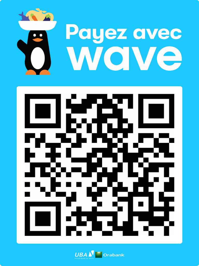 Static Wave QR | PDF