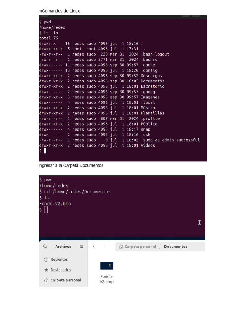 Comandos de Linux | PDF
