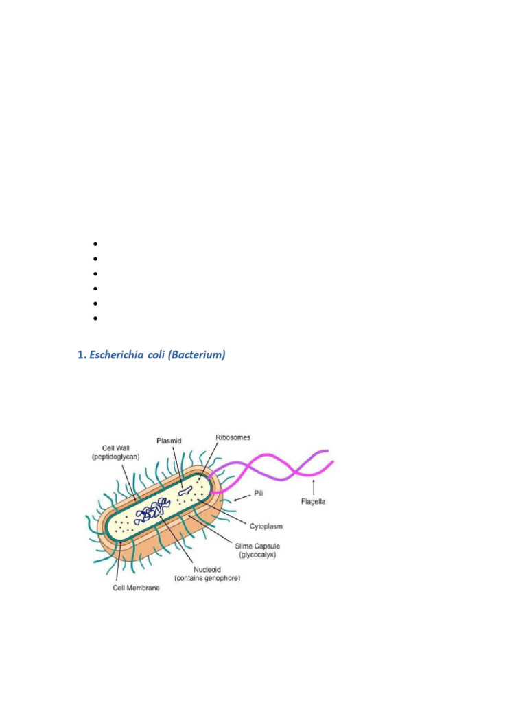 Model Organism e | PDF | Model Organism | Genetics