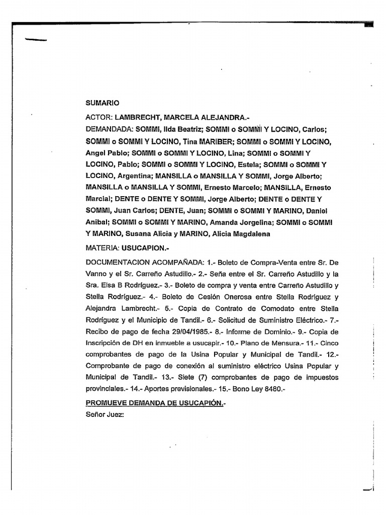 Modelo Usucapion Mansilla | PDF