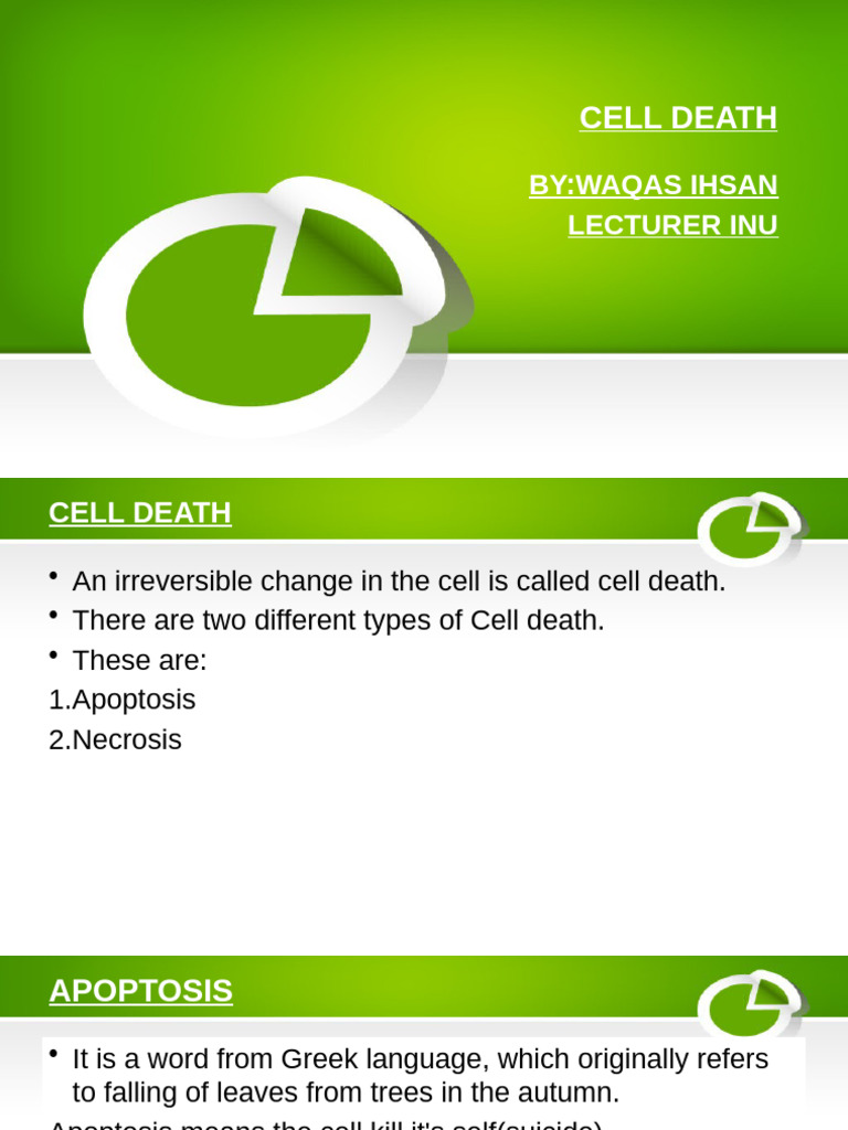 Cell Death | PDF | Necrosis | Apoptosis