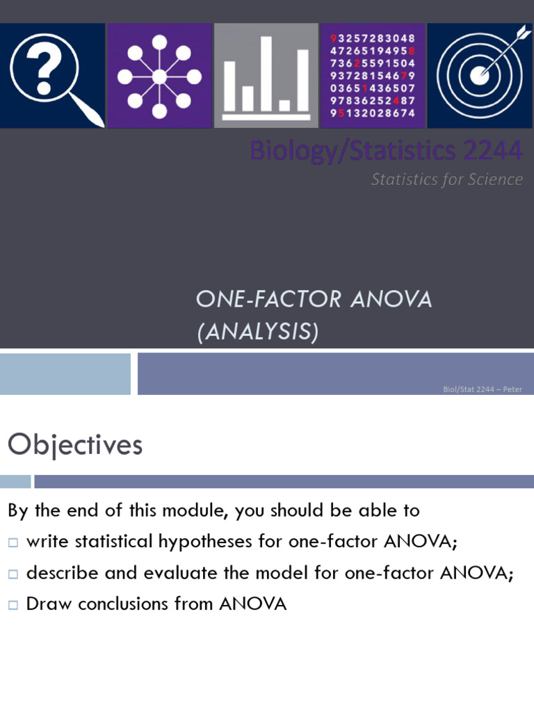 12 - Lecture Slides | PDF
