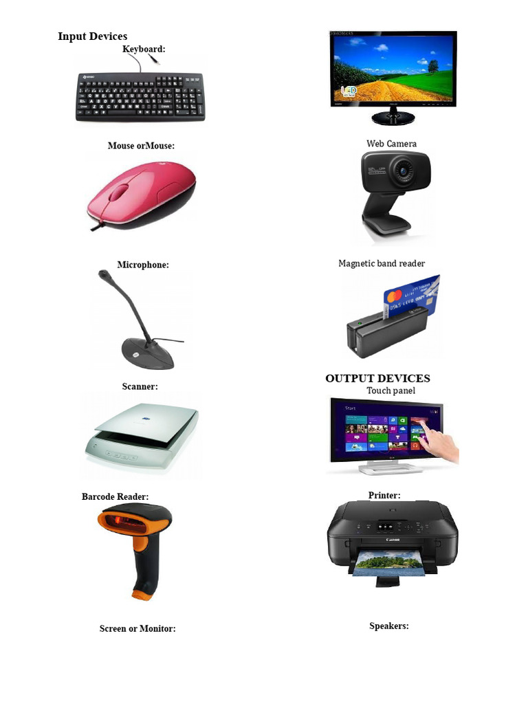 Input and Output Devices Overview | PDF