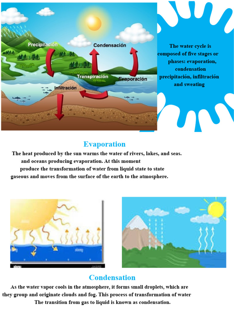The Water Cycle Consists of Five Stages or Phases: Evaporation ...