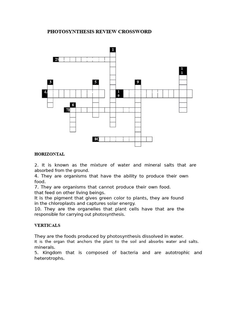 Review Crossword of Photosynthesis | PDF
