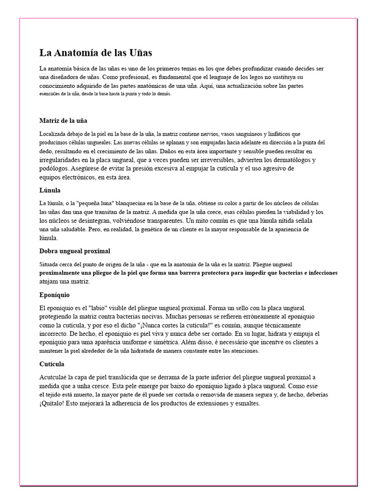 Apostilla Curso (Gel en Tips) | PDF | Clavo (anatomía) | Sistema ...