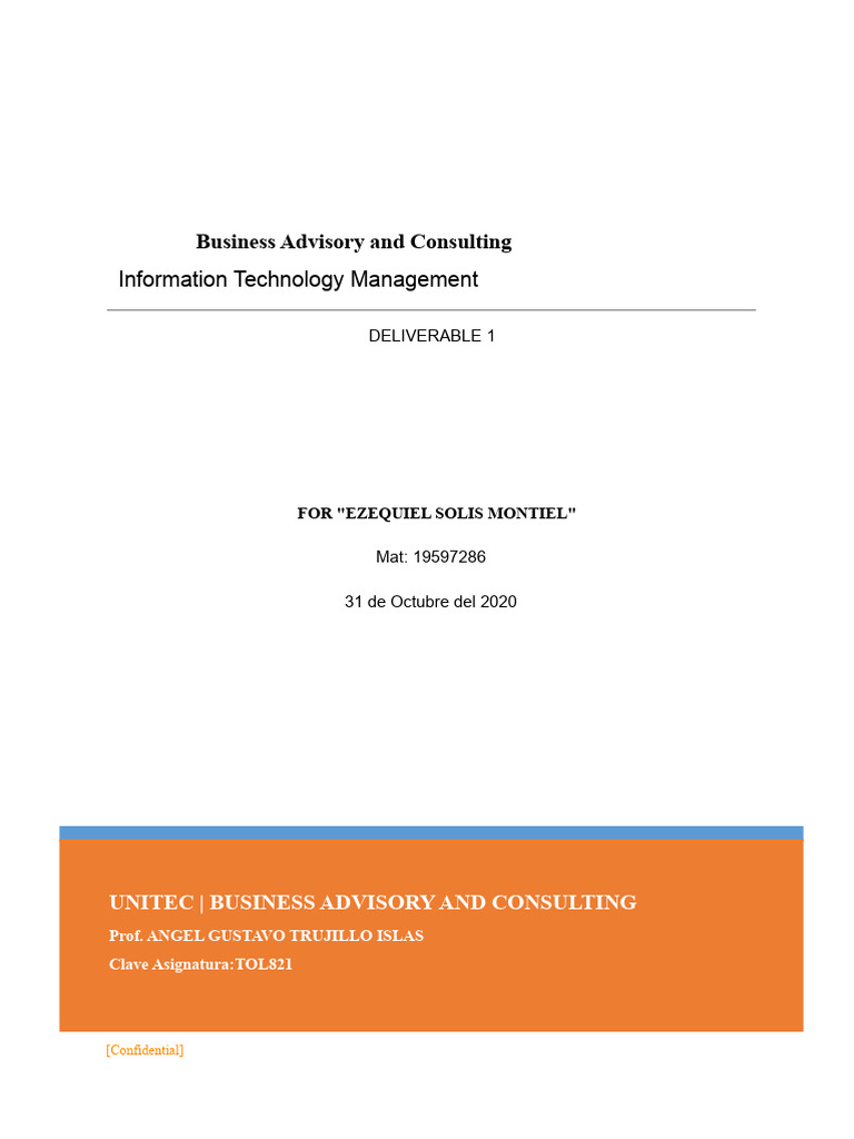 EXAMPLE 1 of Deliverable 1 Advisory and Consulting | PDF | Human ...