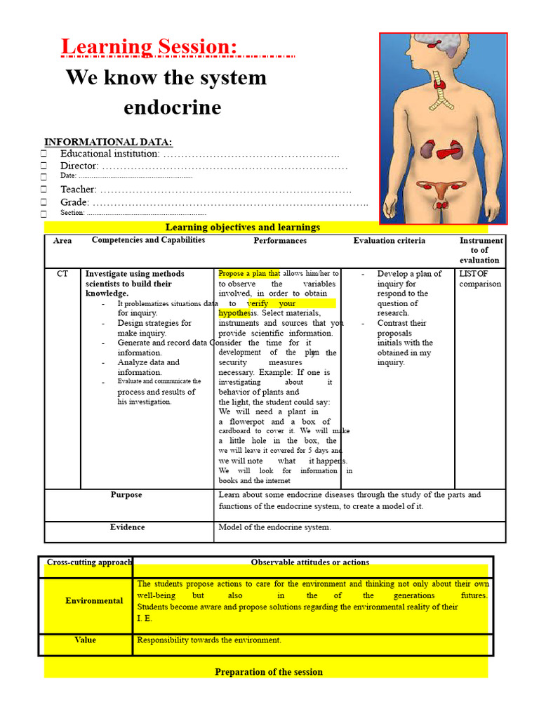 5th GRADE DAY 2 CT. WE MEET THE ENDOCRINE SYSTEM | PDF | Hormone ...