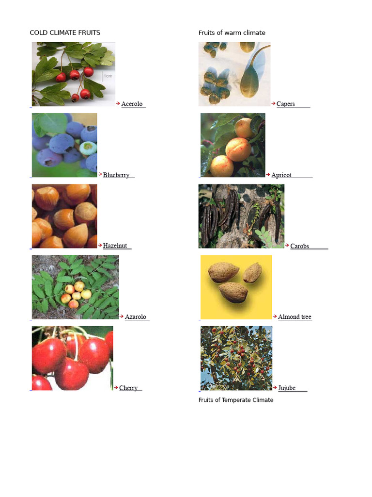 Vegetables and Fruits Cold, Warm, Temperate Climate | PDF