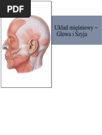 Anatomia Swini Atlas Interaktywny | PDF