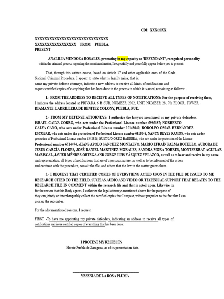 Authorization and Certified Copies in Investigation File | PDF