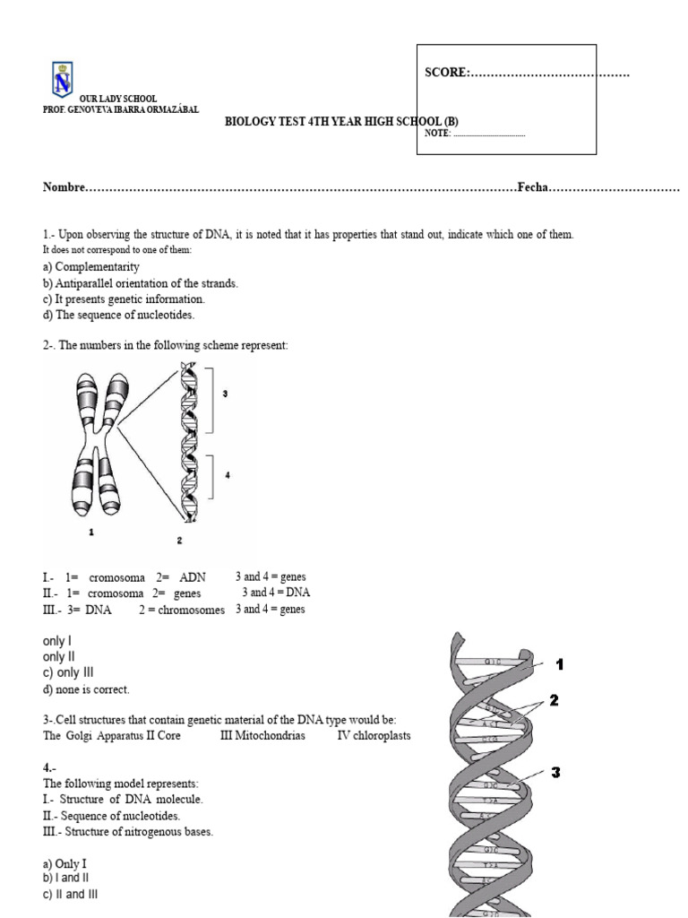 DNA test 4th year of high school | PDF | Dna | Gene