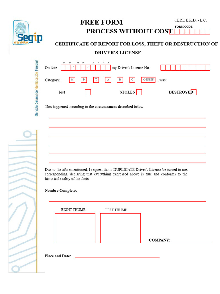 FORM_LOST_STOLEN_DESTRUCTION.pdf | PDF