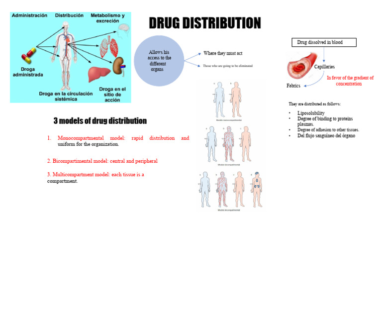 Distribution of The Drugs | PDF