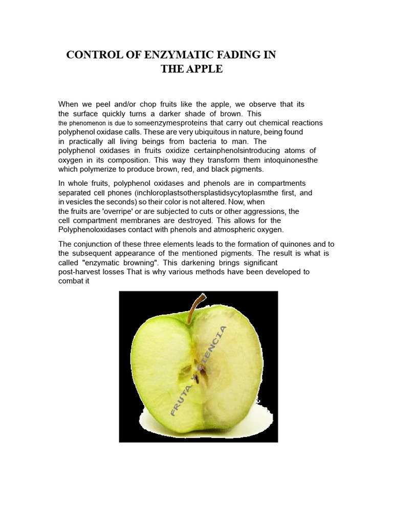 Preventing Enzymatic Browning in Apples | PDF | Polyphenol | Chemistry