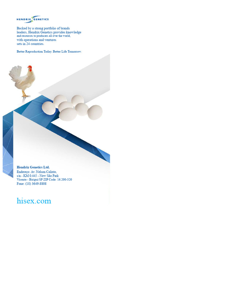 Hisex White Layer Production Guide | PDF