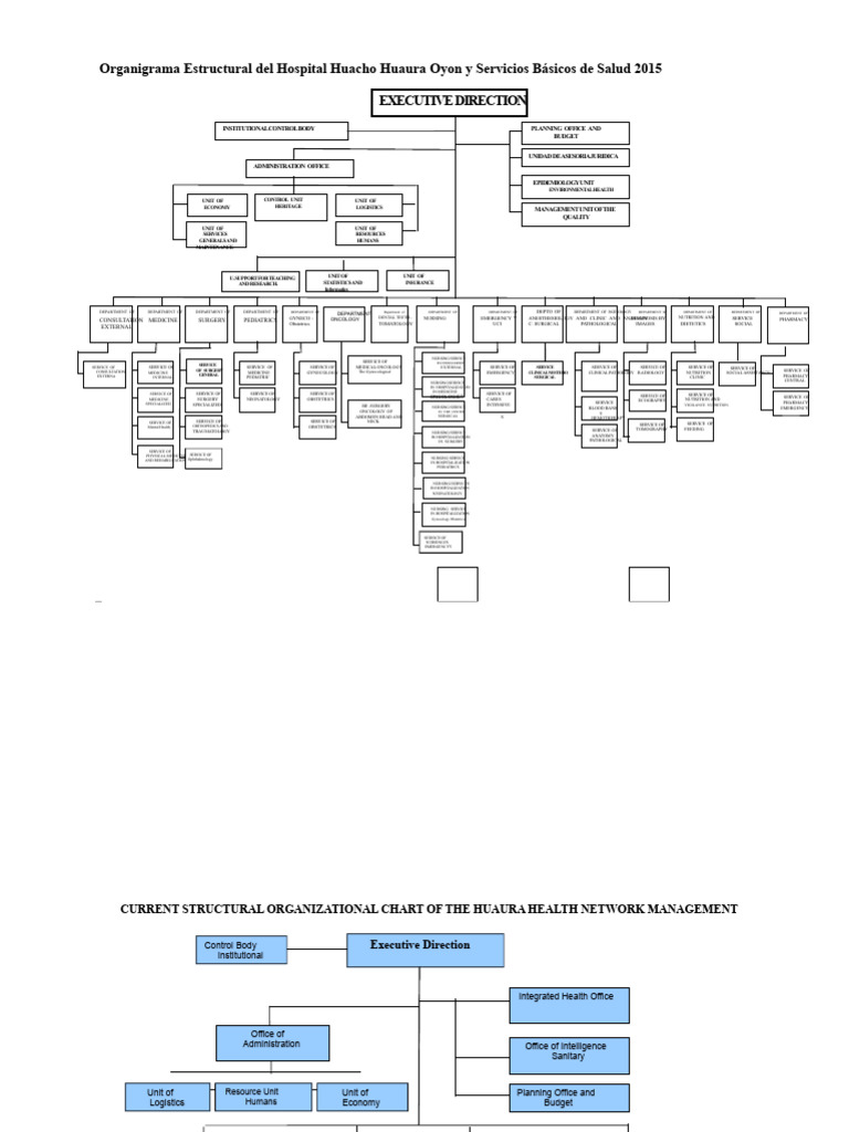 Structural Organization Chart of The Huaura and Oyon Hospital and ...