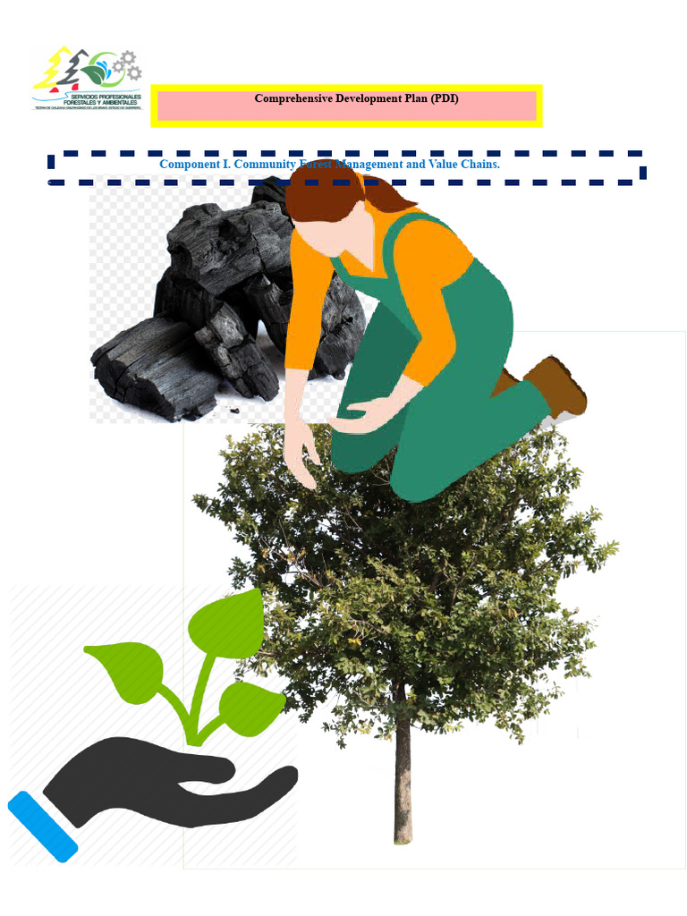Integral Development Plan (PDI) | PDF | Swot Analysis | Logging