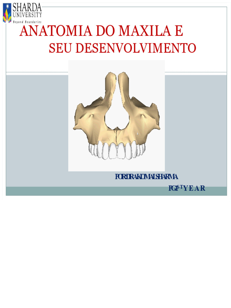 Anatomia da Maxila e Seu Desenvolvimento_ORIGINAL | PDF | Língua ...