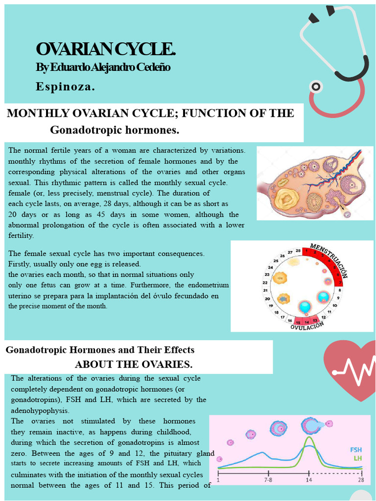 Understanding the Ovarian Cycle | PDF | Luteinizing Hormone | Menstrual ...