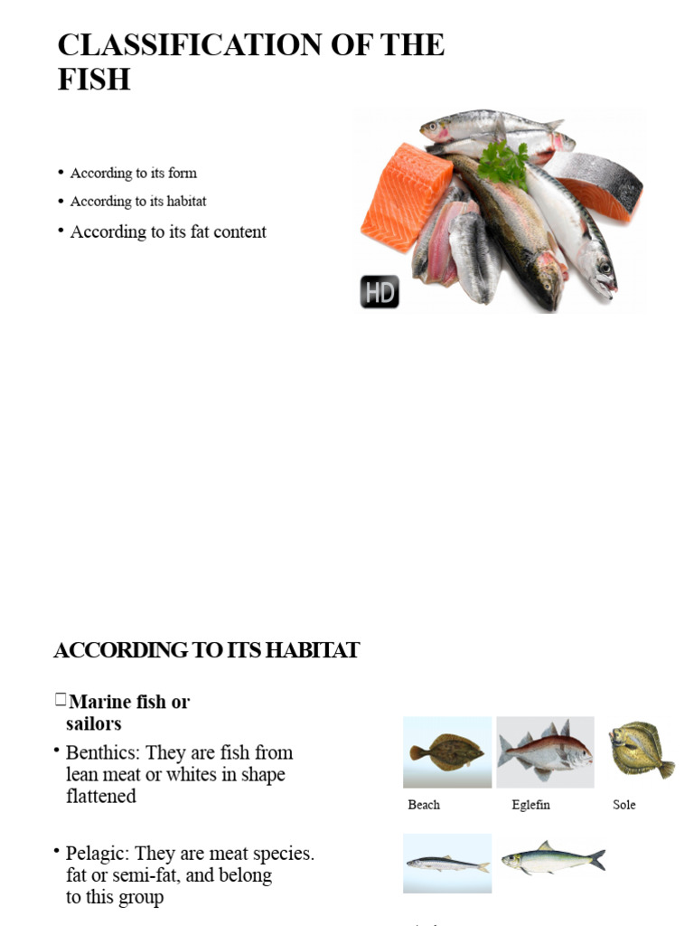CLASSIFICATION OF FISH.pptx | PDF | Cooking | Sautéing