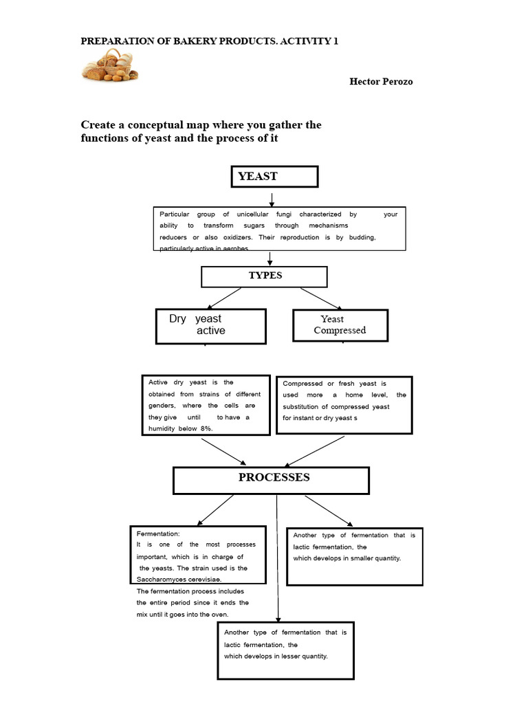 Yeast Functions and Bakery Flour Guide | PDF | Flour | Breads