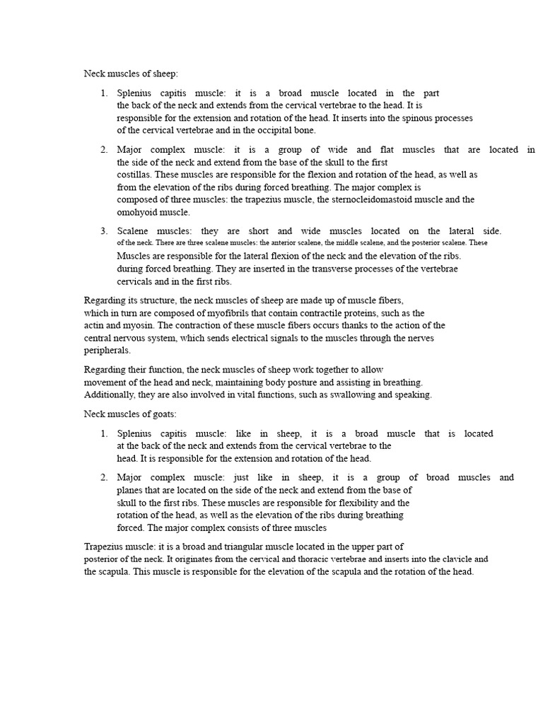 Neck muscles of sheep | PDF | Neck | Vertebra