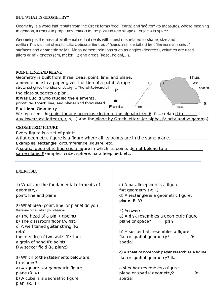 Understanding Basic Geometry Concepts | PDF | Geometry | Line (Geometry)