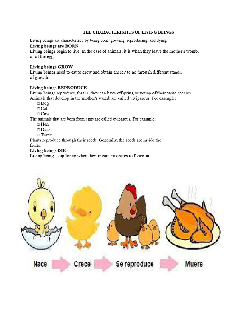 Characteristics of Living Beings Explained | PDF | Reproduction | Egg