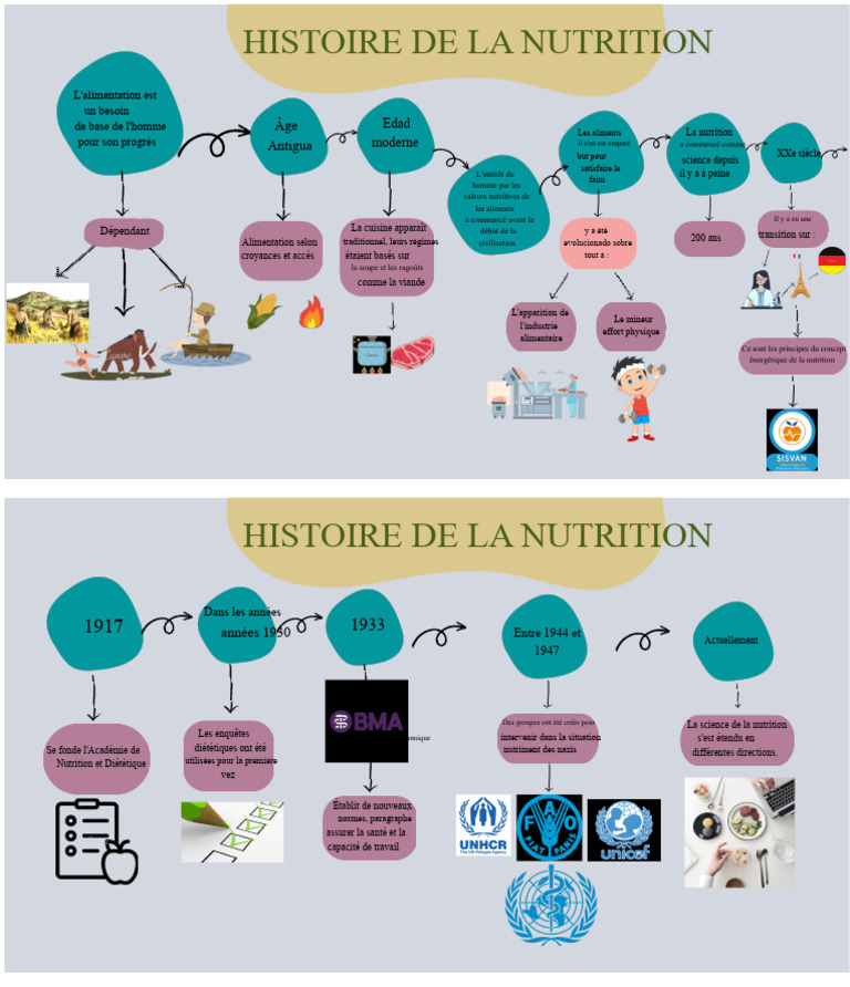 Évolution de la nutrition à travers l'histoire | PDF | Diététicien ...