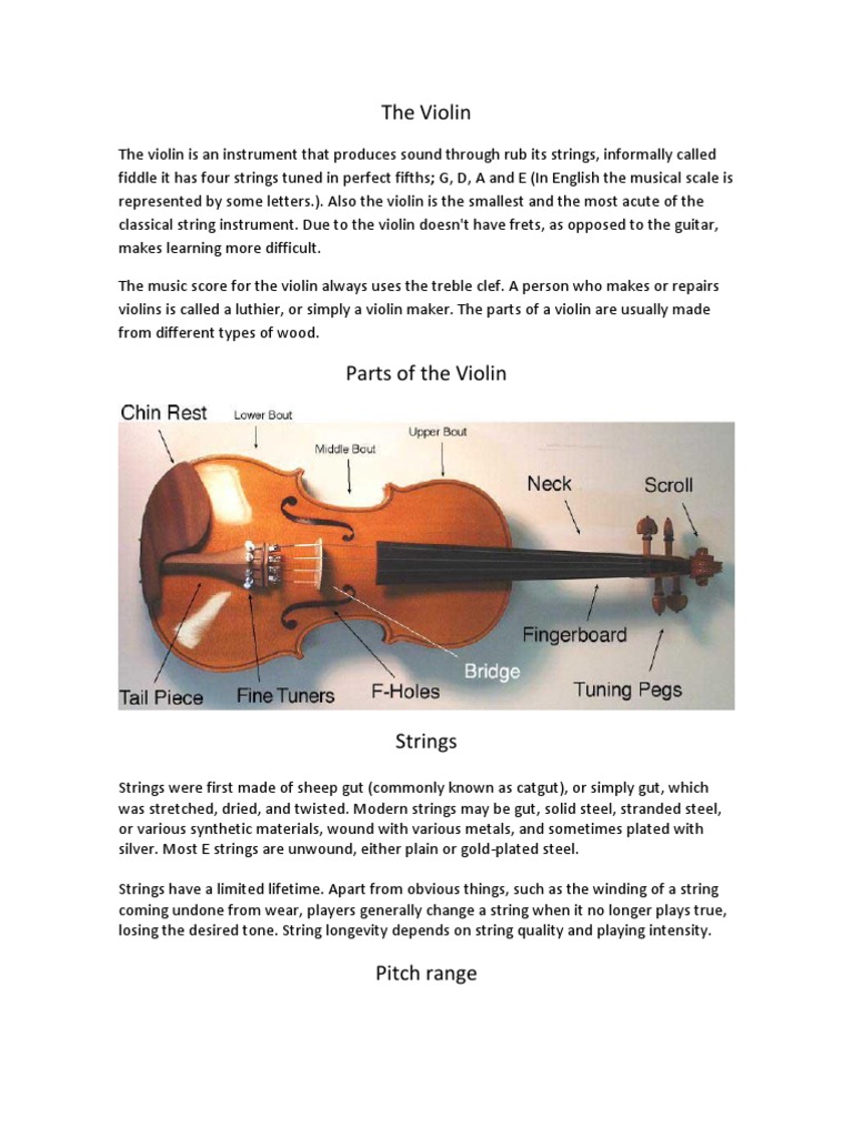 The Violin | PDF | Violin | Hornbostel Sachs