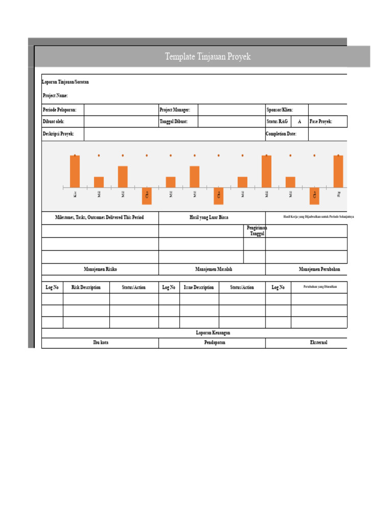 Excel Project Review Template | PDF