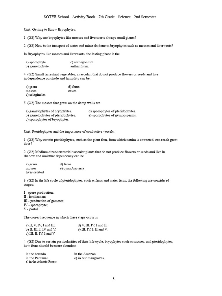 7th Grade Science: Bryophytes to Angiosperms | PDF | Moss | Fern