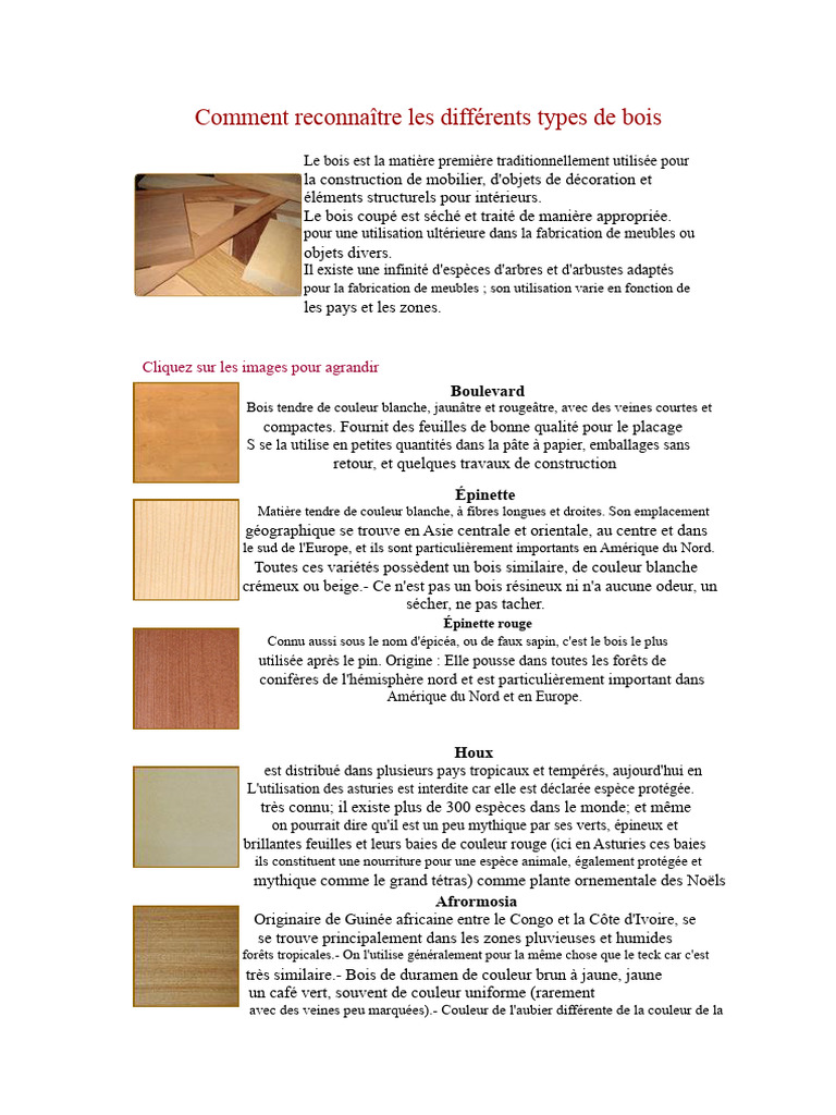 Comment reconnaître les différents types de bois | PDF | Bois (matériau ...