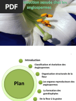 Le Carpelle : Organe des Angiospermes | PDF | Fruit | Embryon
